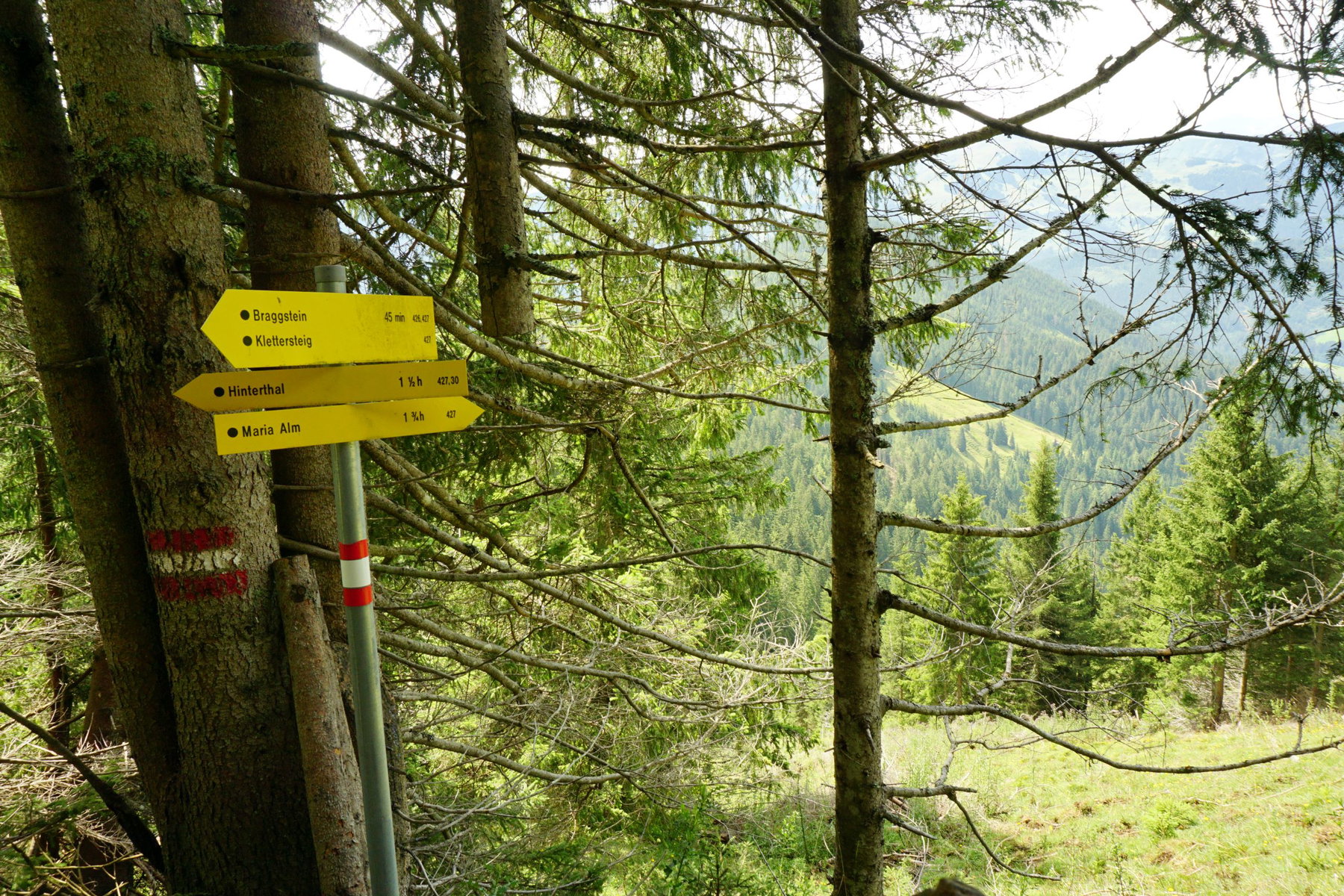 Wegkreuzung Hinterthal / Maria Alm. Foto Alpenverein Saalfelden