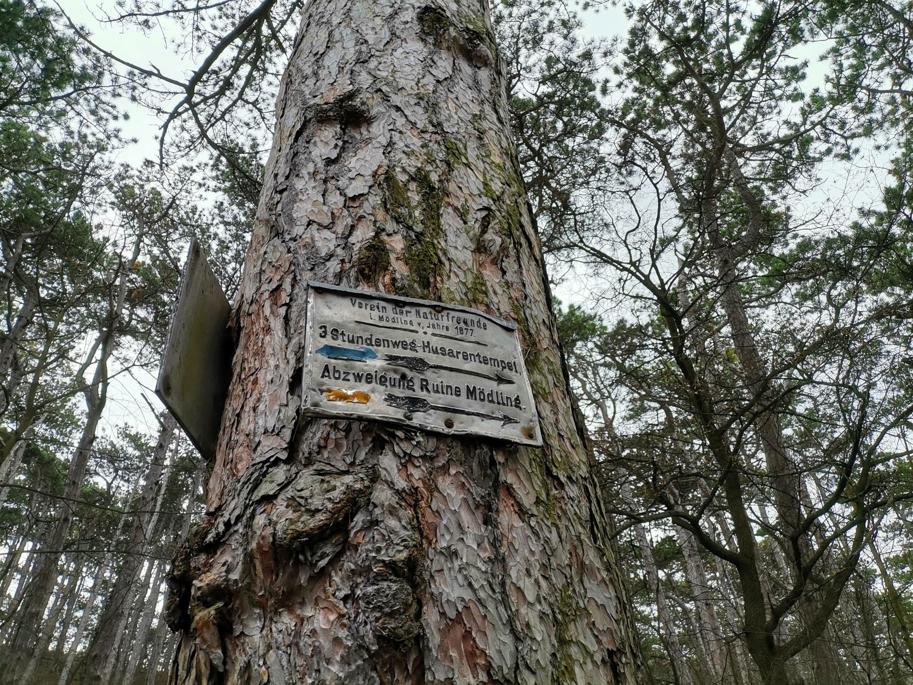 Husarentempel und Schwarzer Turm - Bahn zum Berg Baden