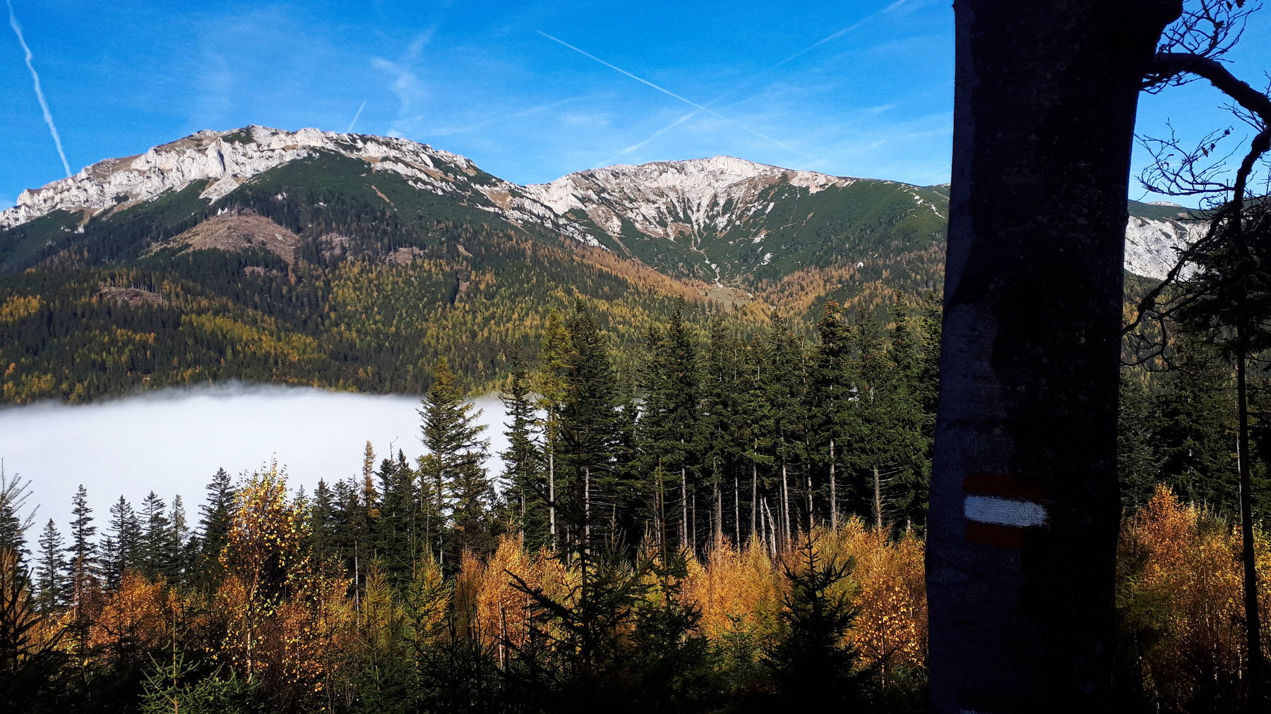 Über die Große Scheibe zur Rax - Bahn zum Berg