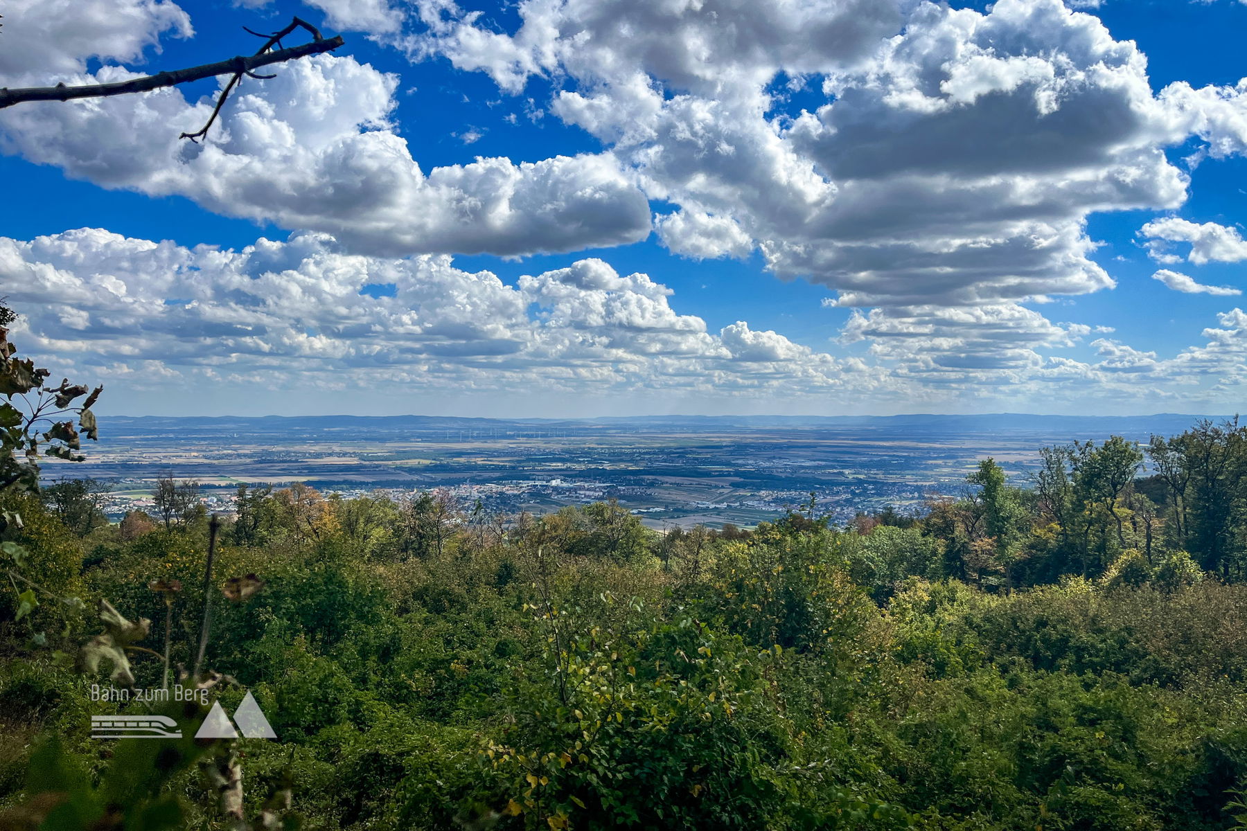 Wald und Wein bei Gumpoldskirchen - Bahn zum Berg Baden