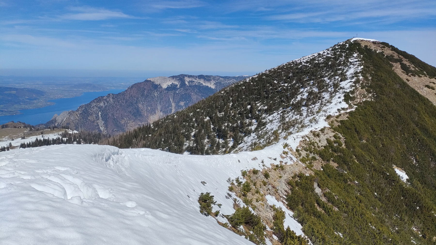 Leonsberg: der Löwe als Nachbar vom Schaf - Bahn zum Berg