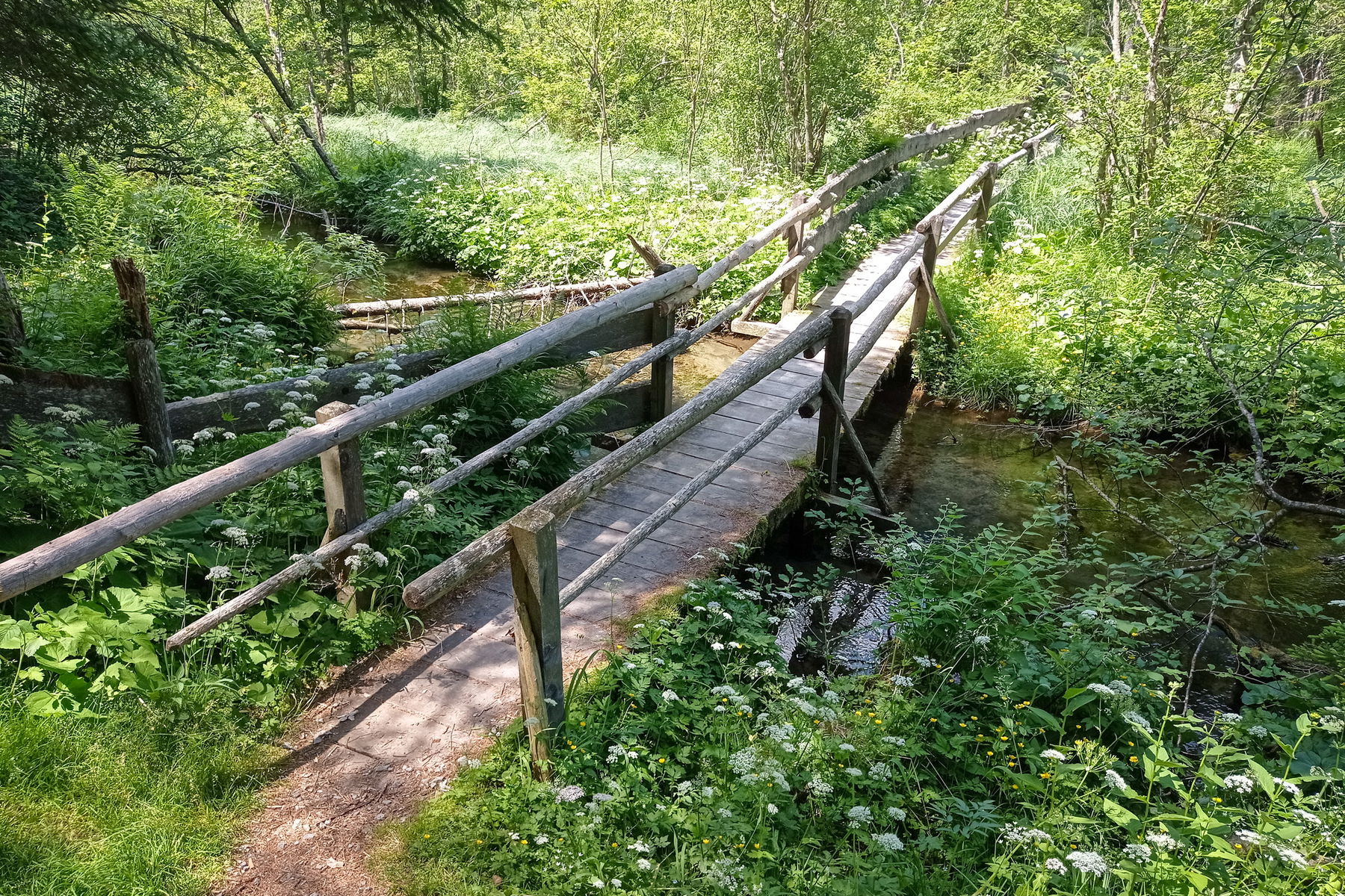 Drei Täler Runde in Mallnitz - Bahn zum Berg