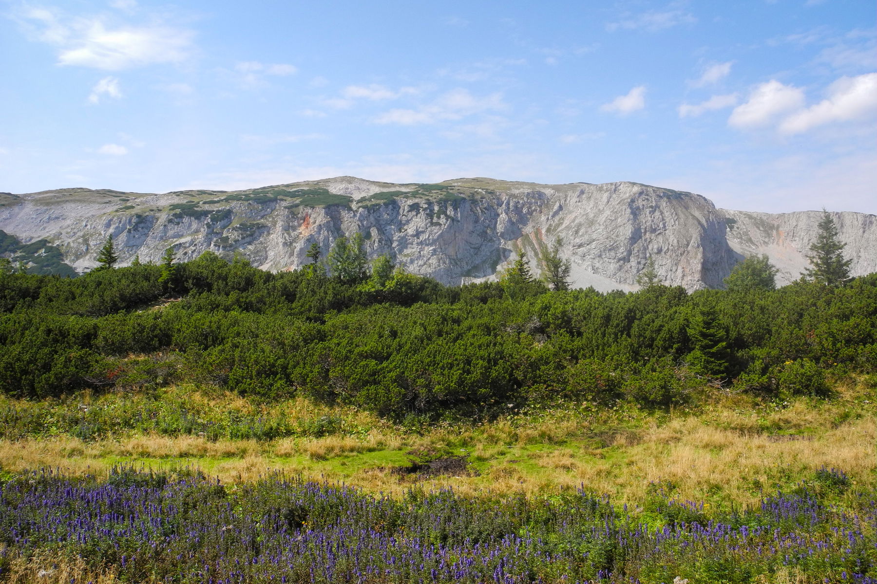 Rax für Anfänger - Bahn zum Berg