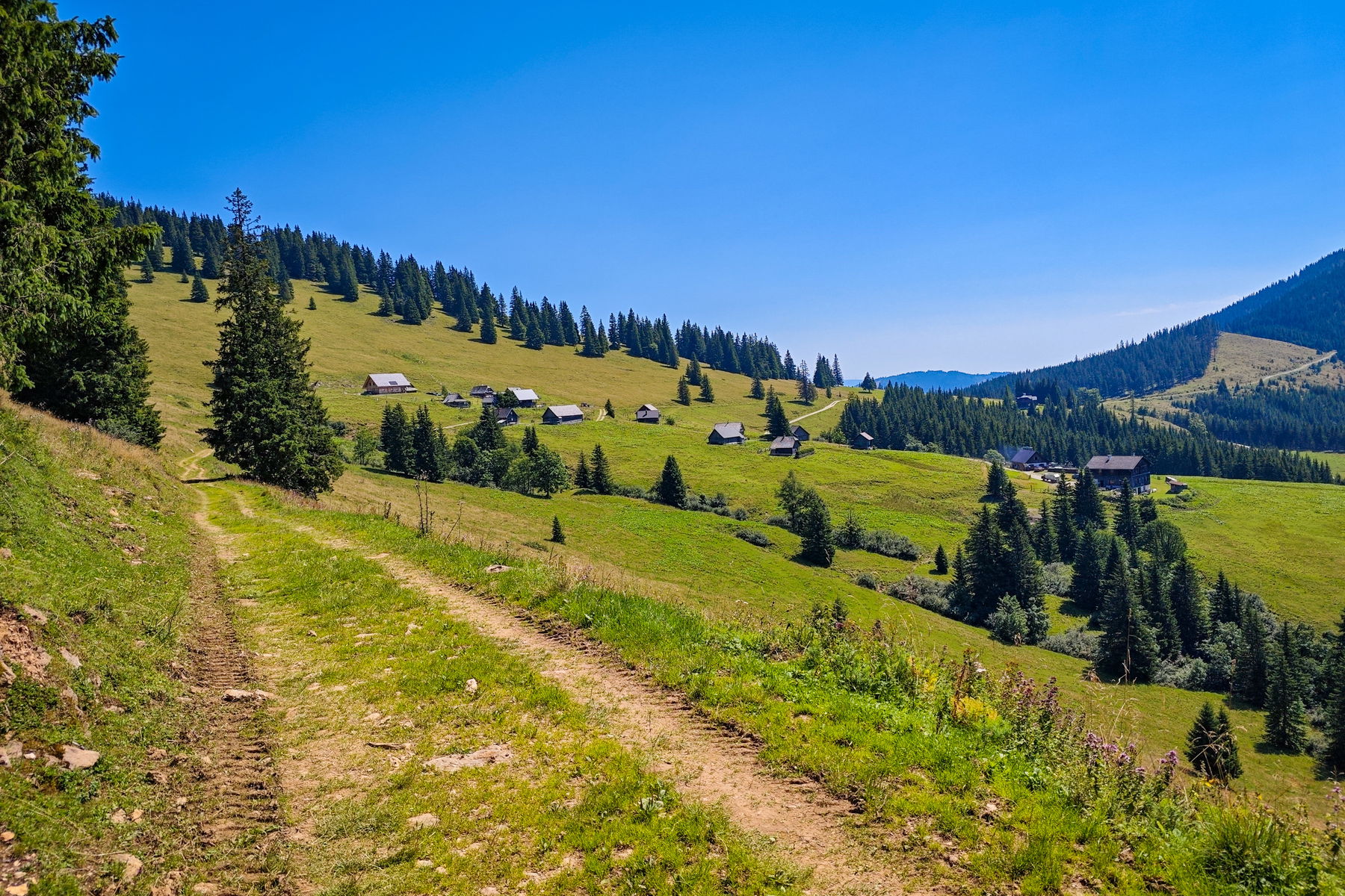 In 2 Tagen über Almen von Seewiesen nach Mariazell - Bahn zum Berg ...