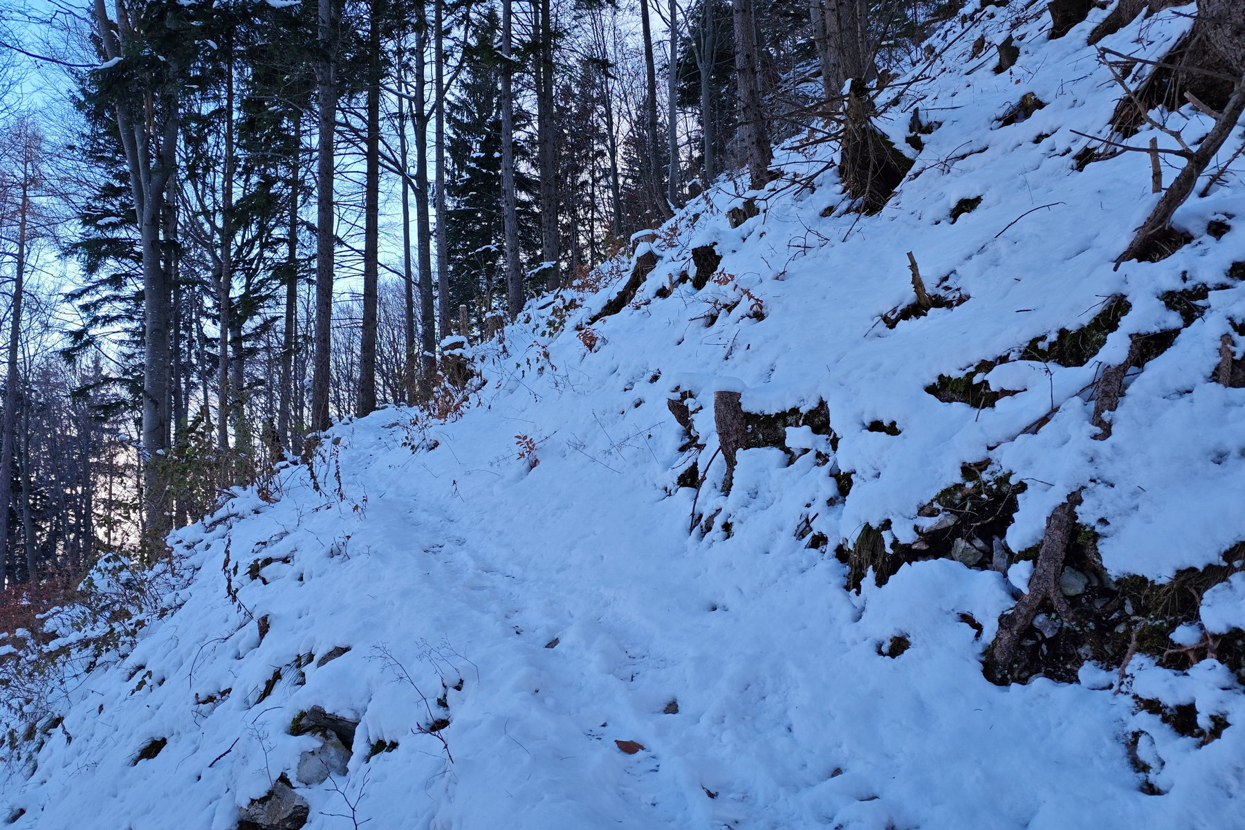 Winterwanderung auf den Gromann - Bahn zum Berg Bruck an der Mur