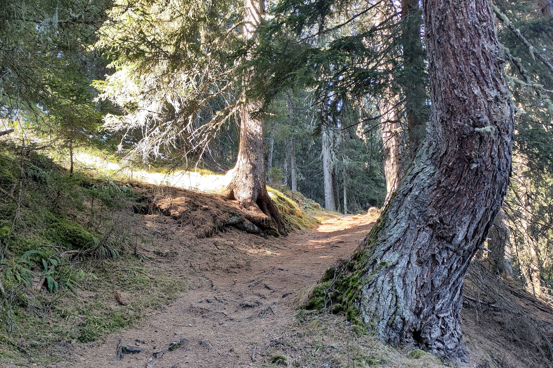 Schnee-Schuh-Flicker: Bike and Snowshoeing Großarl - Bahn zum Berg ...
