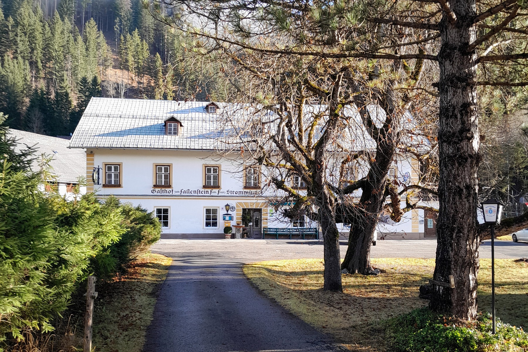 Dezemberwanderung auf die Sauwand bei Mariazell - Bahn zum Berg Kapfenberg